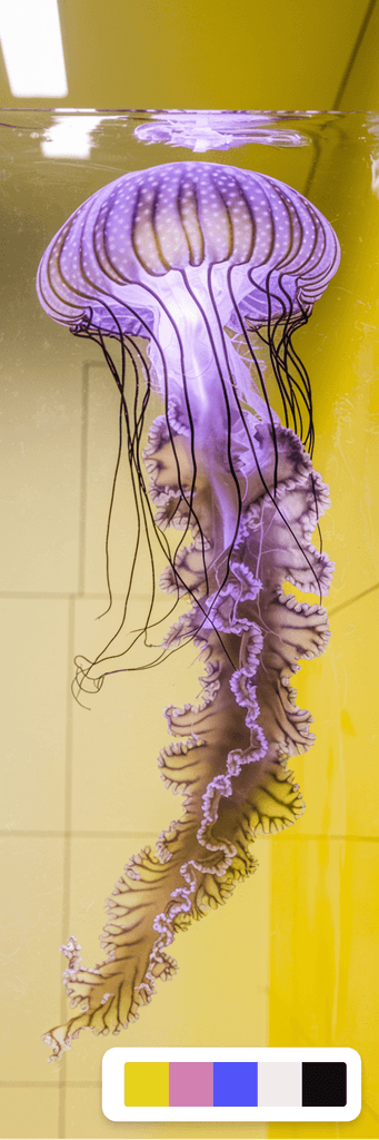 Ideogram V2 | Photomatic AI - FlowHunt